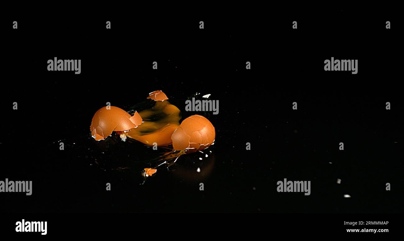 Egg falling and Exploding on black background Stock Photo - Alamy