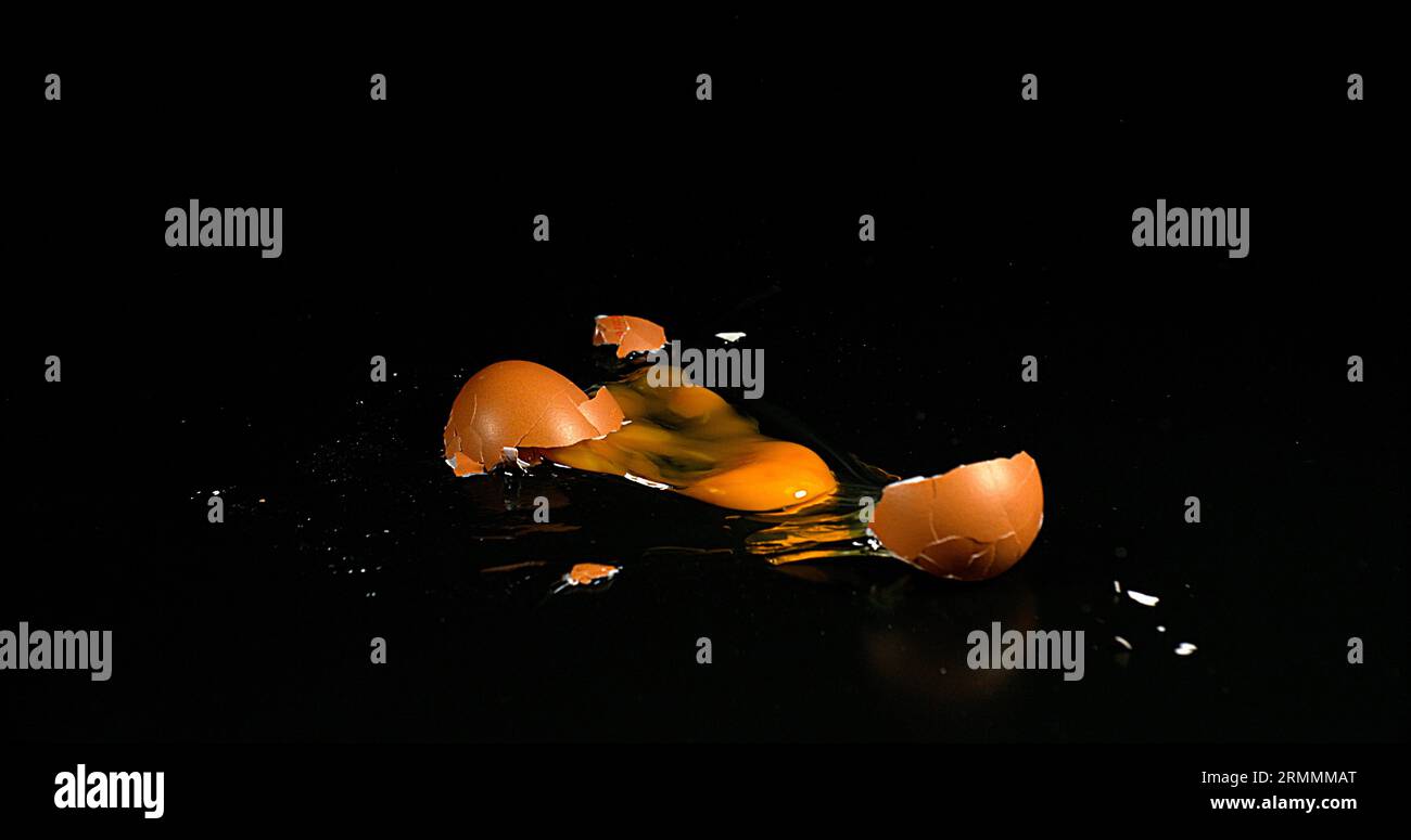 Egg falling and Exploding on black background Stock Photo - Alamy