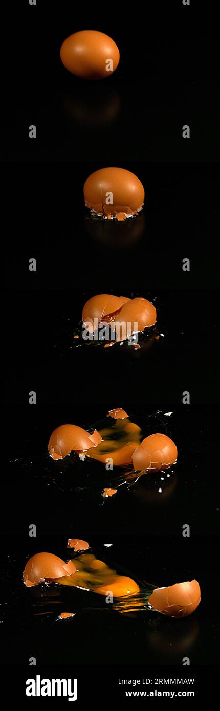 Egg falling and Exploding on black background Stock Photo - Alamy