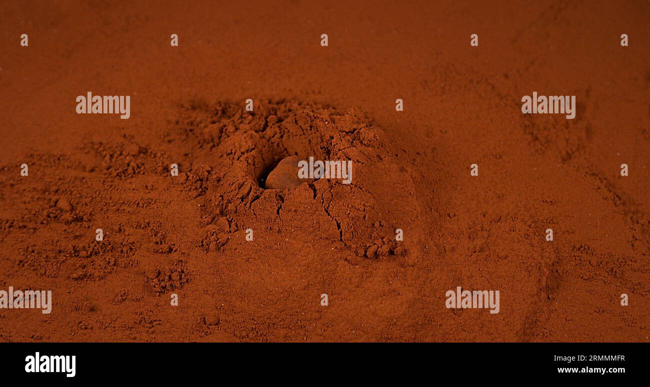 Chocolate Truffle falling on Chocolate Powder Stock Photo - Alamy