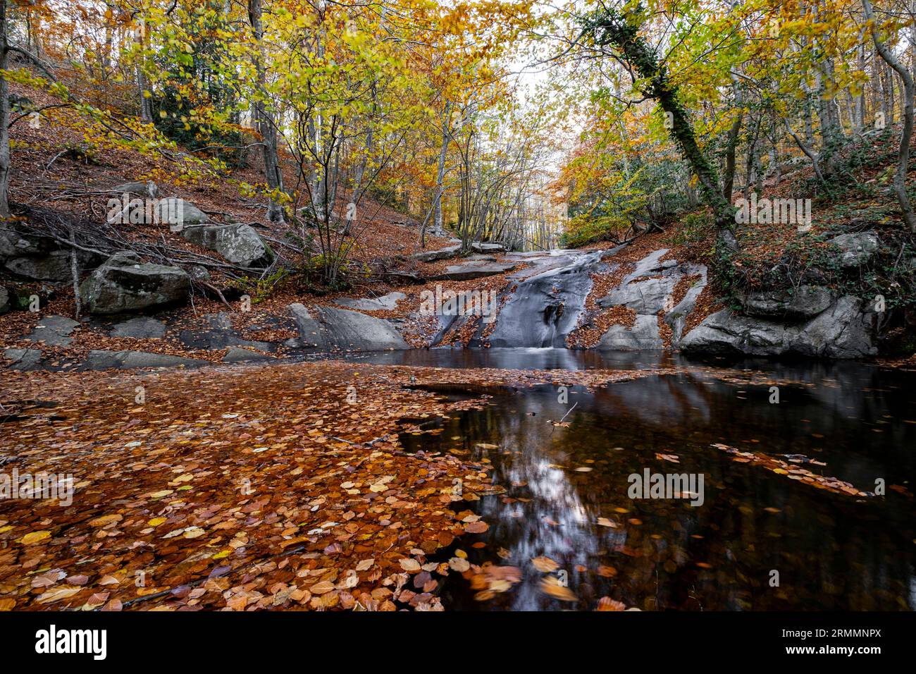 The Tordera river in the forests of the Montseny mountain in autumn in ...