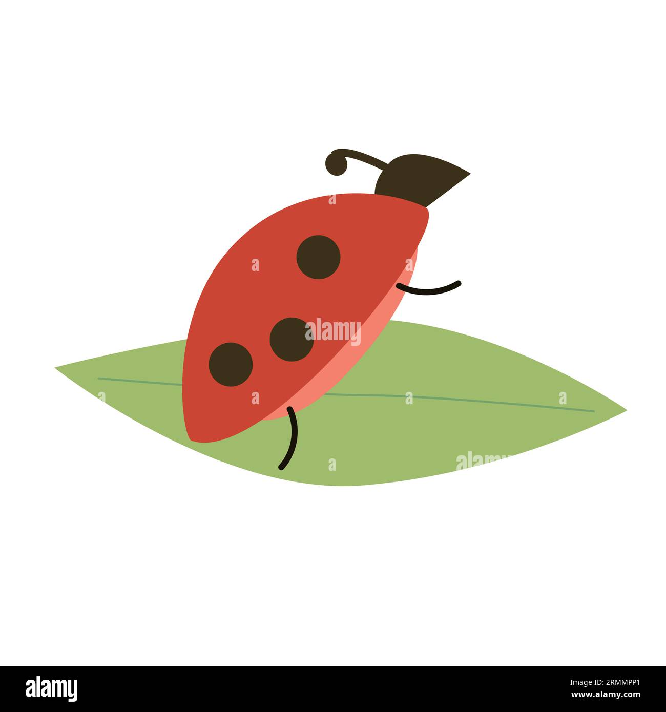 funny bug on a green leaf stands on its hind legs Stock Vector Image ...