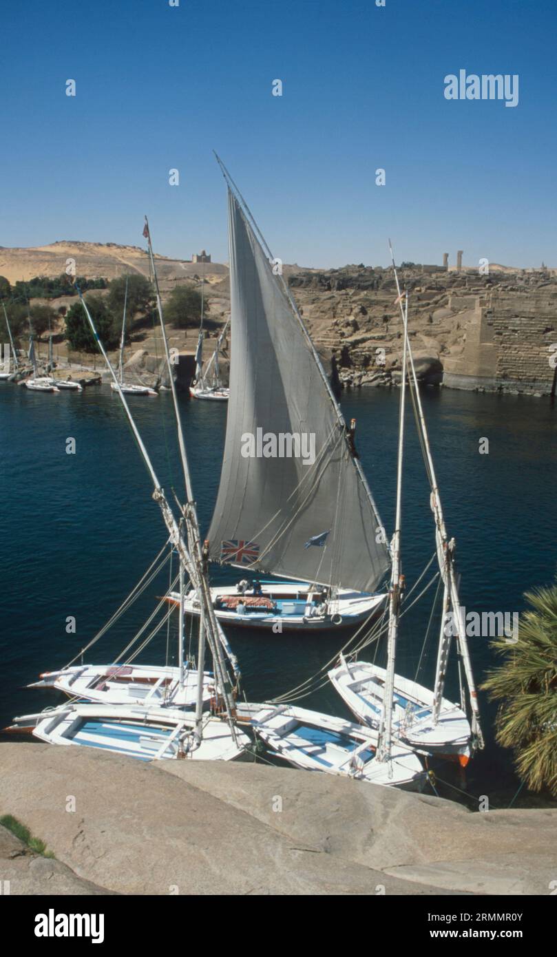 Traditional egyptian felucca boat sails hi-res stock photography and ...