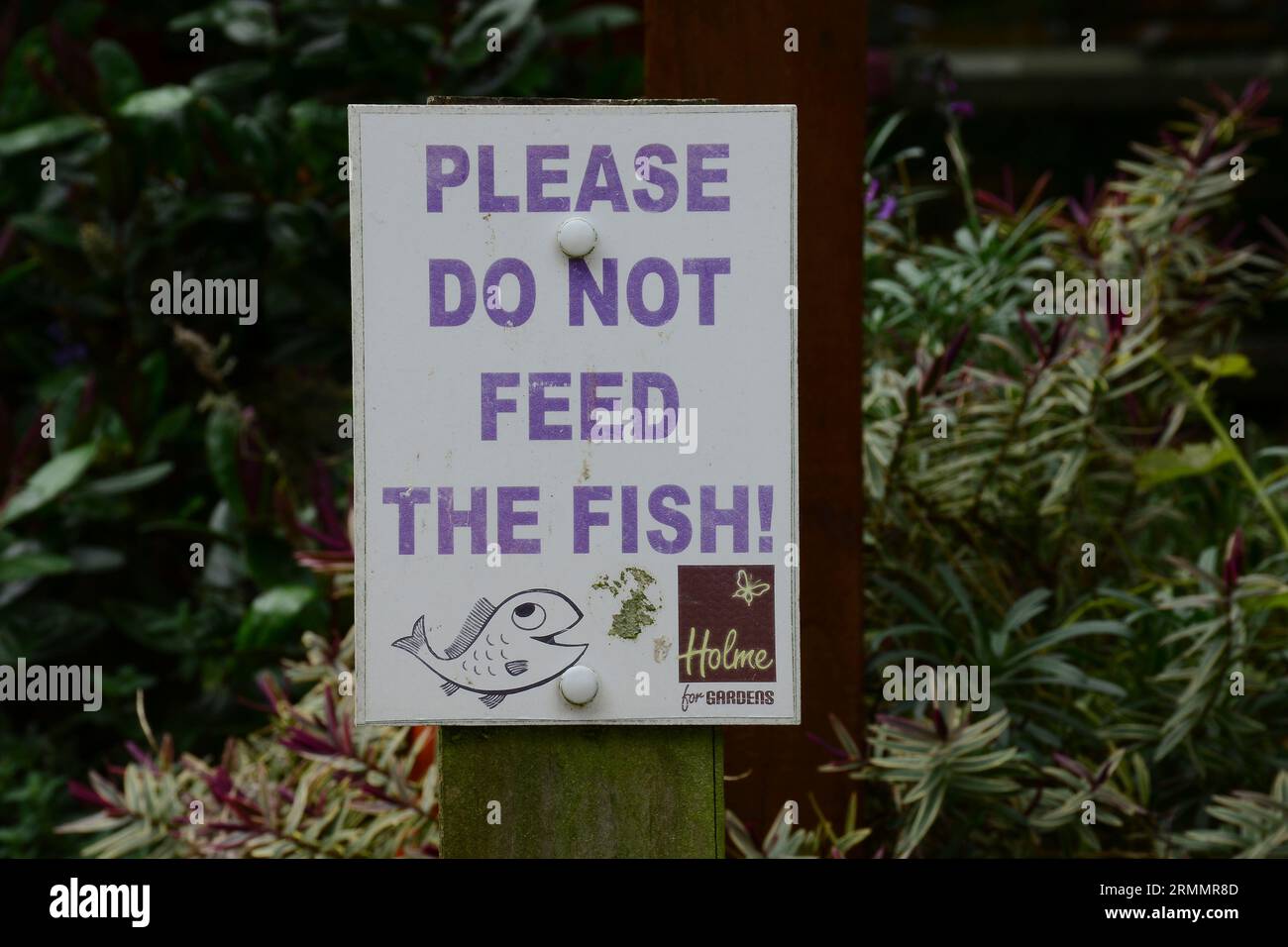 Do not feed the fish sign at garden centre pond Stock Photo - Alamy