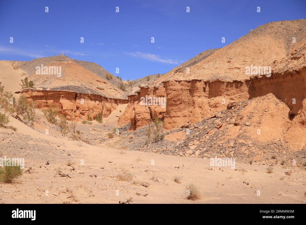 The rock formations in Nemegt canyon, Umnugobi, Mongolia Stock Photo ...