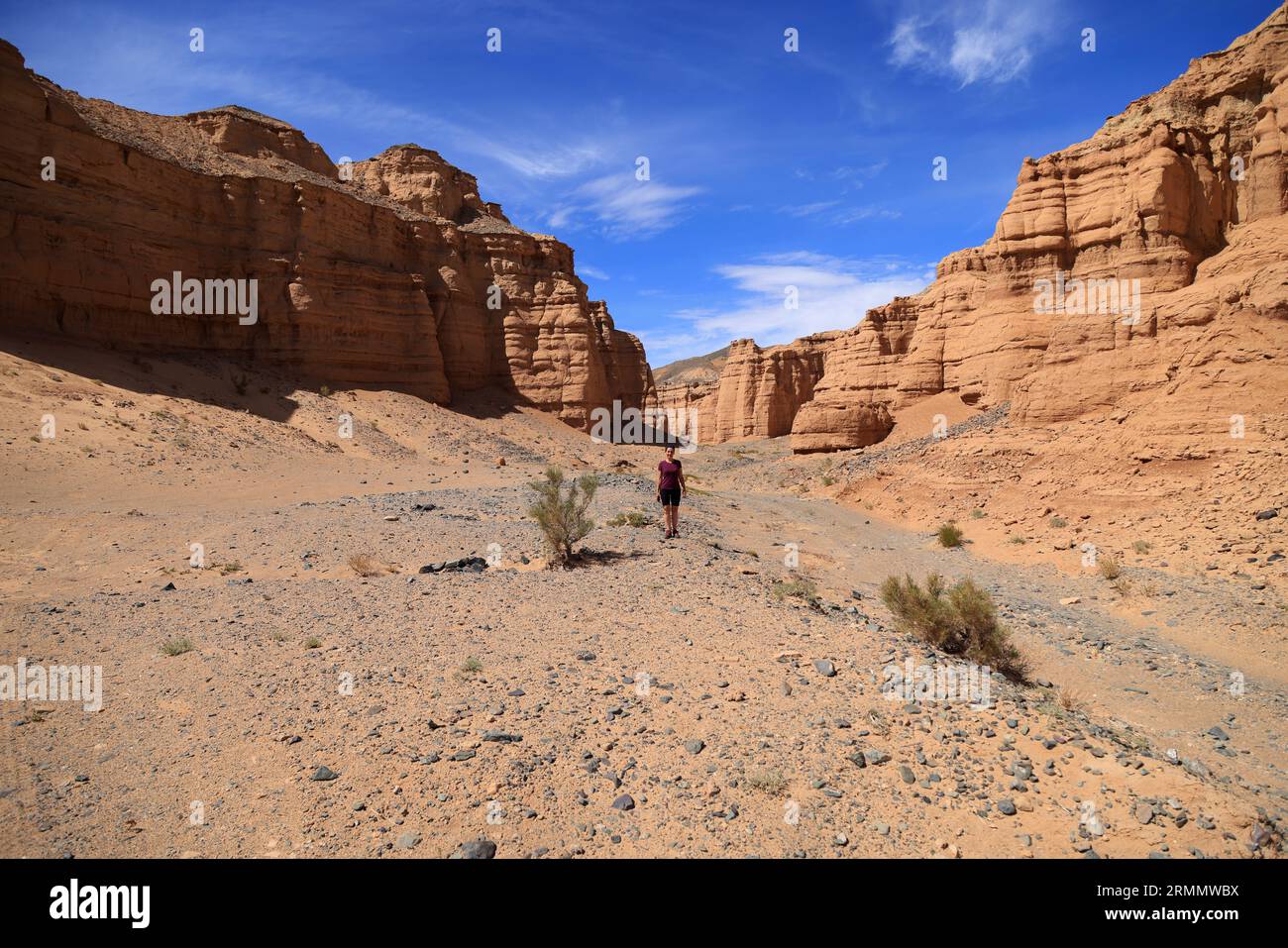 The rock formations in Nemegt canyon, Umnugobi, Mongolia Stock Photo ...