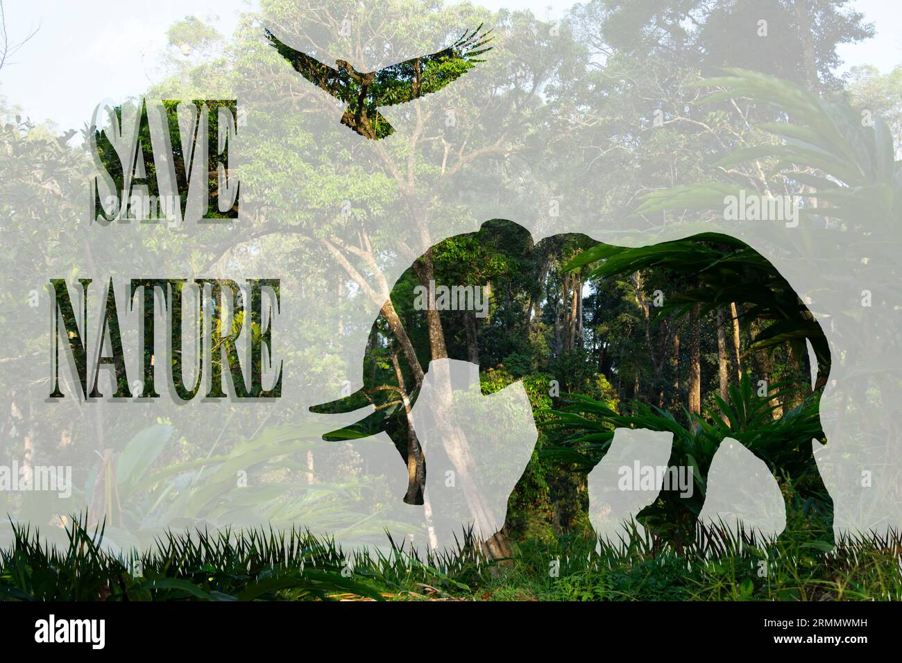 Elephant silhouette on the background of the forest. Motivational ...
