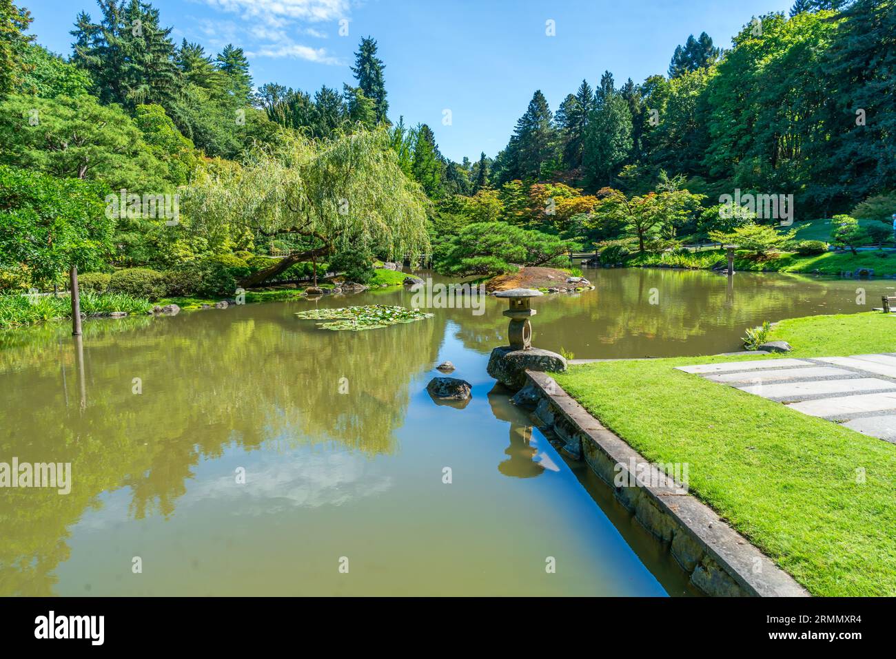 Tree sourround a pond at a Japanese garden in Seattle, Washington Stock ...