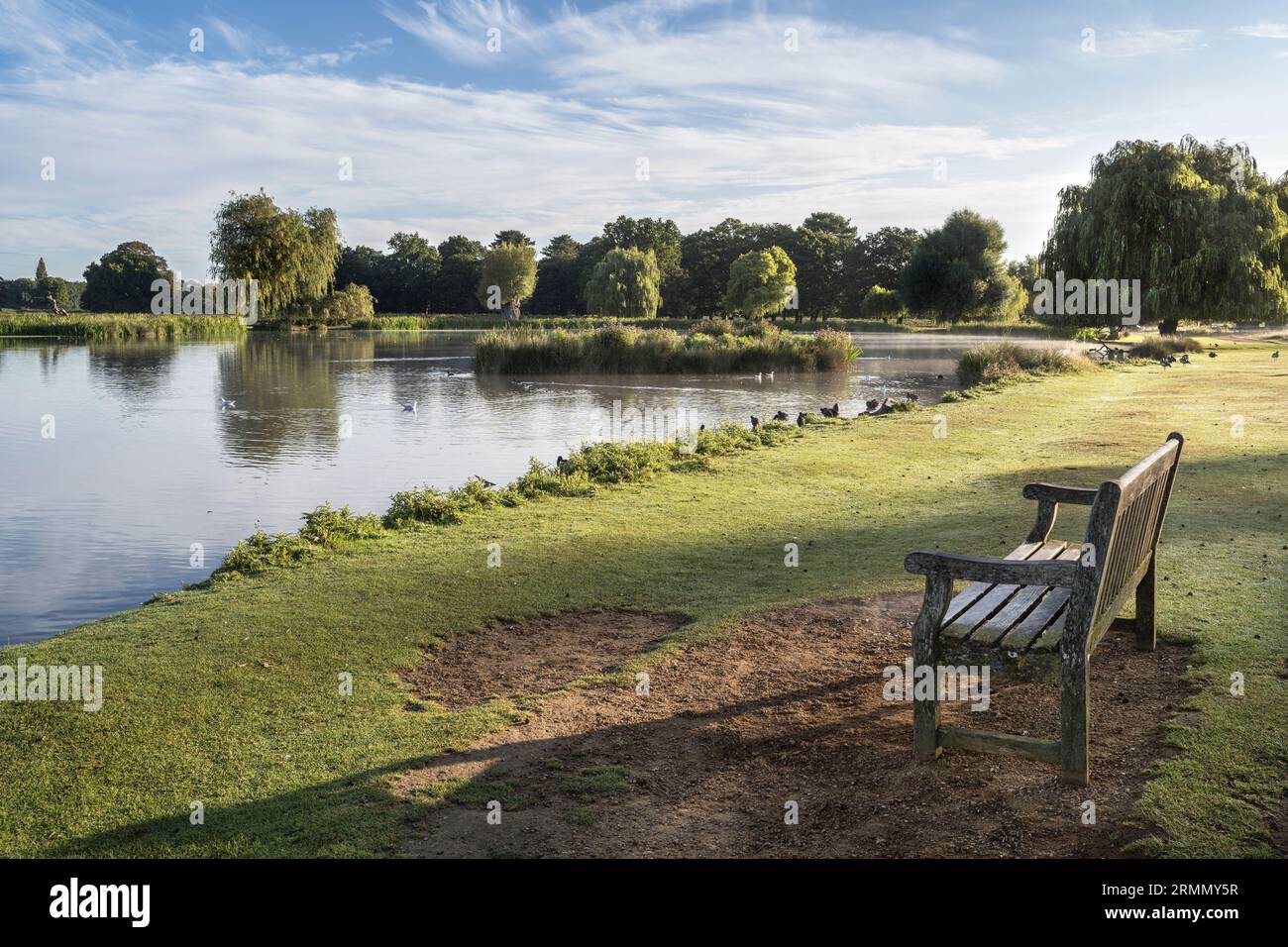 Wooden bench resting place to sit and contemplate life Stock Photo - Alamy