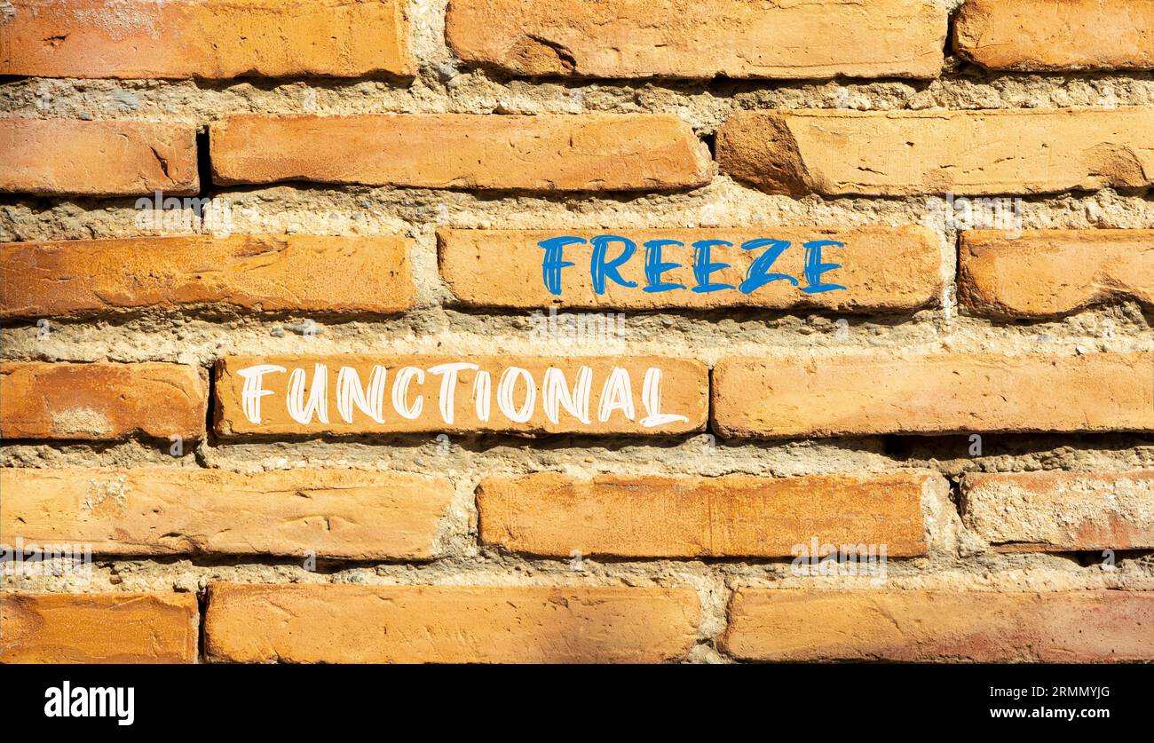 Functional freeze symbol. Concept words Functional freeze on beautiful ...