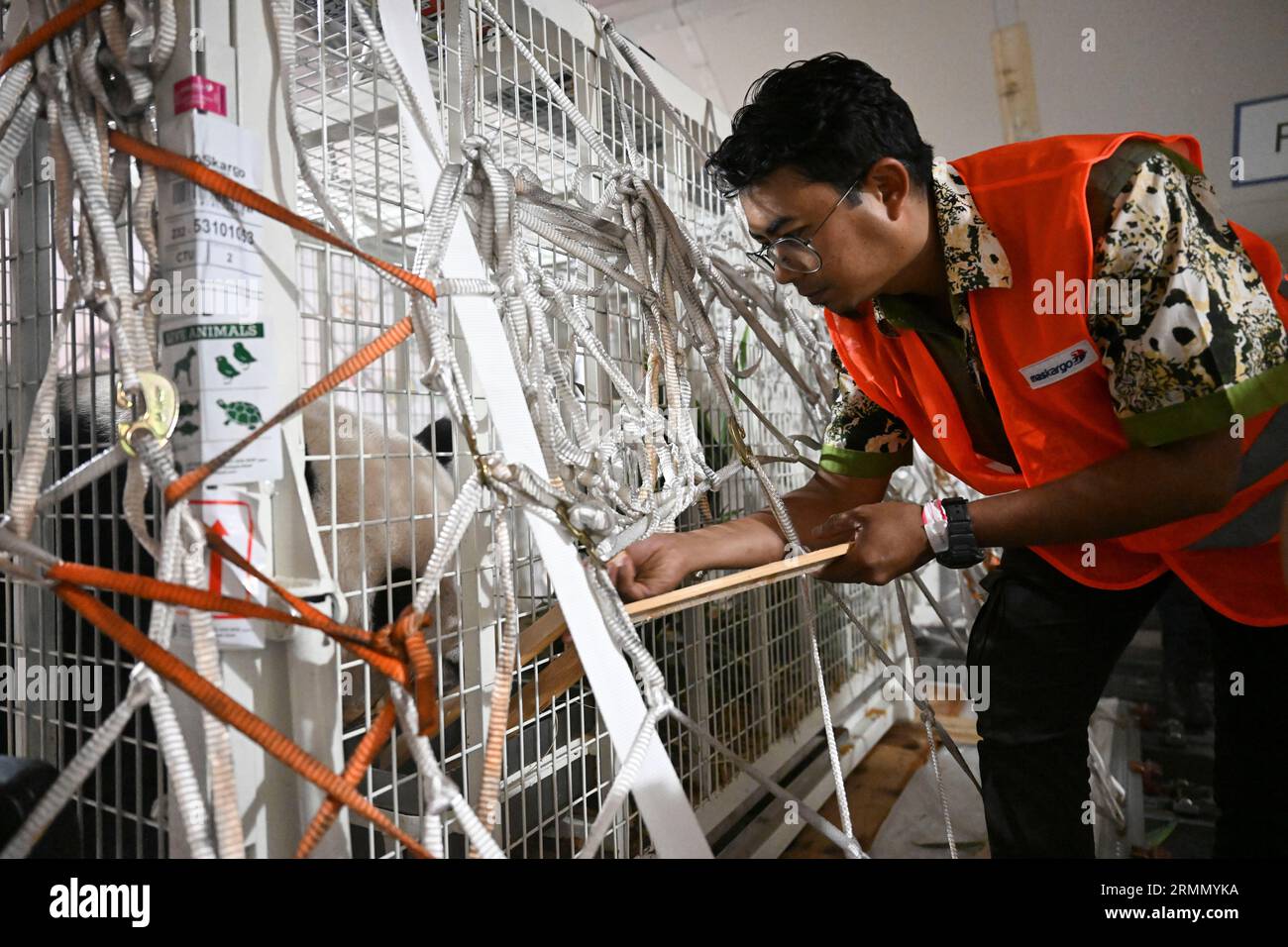 Kuala Lumpur, Malaysia. 29th Aug, 2023. Giant panda caretaker Akmal ...