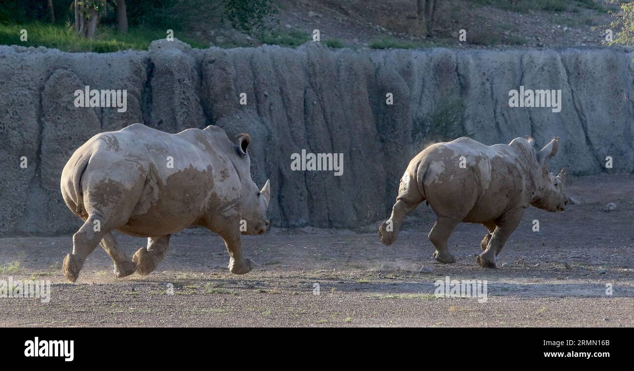 Pictures of places, roads, trees, wild scenes, and a lake from a nature ...