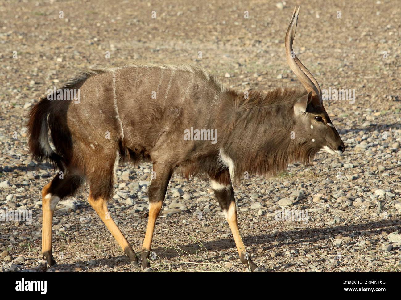 Pictures of places, roads, trees, wild scenes, and a lake from a nature ...