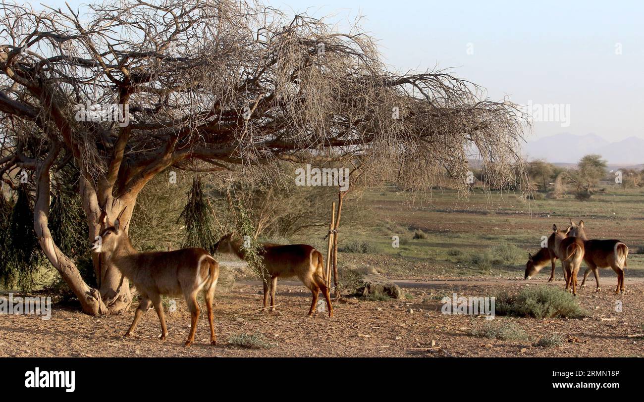 Pictures of places, roads, trees, wild scenes, and a lake from a nature ...