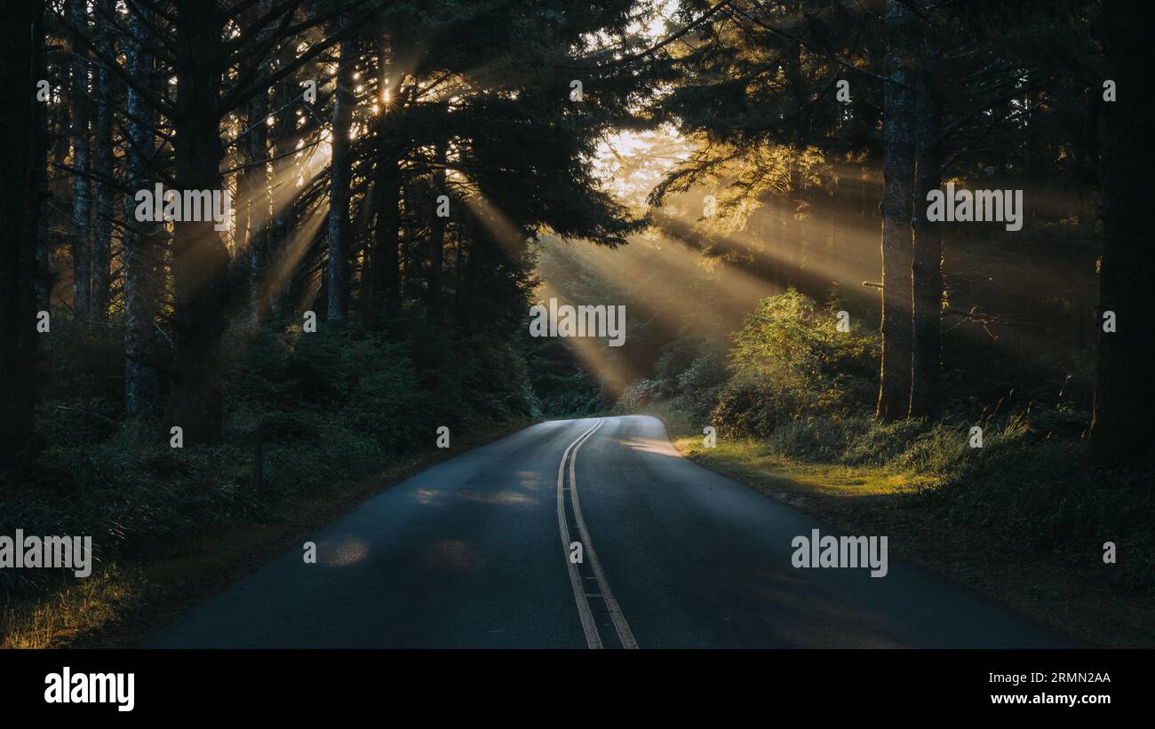 Moody Scenes of Oregon Coast line Stock Photo - Alamy