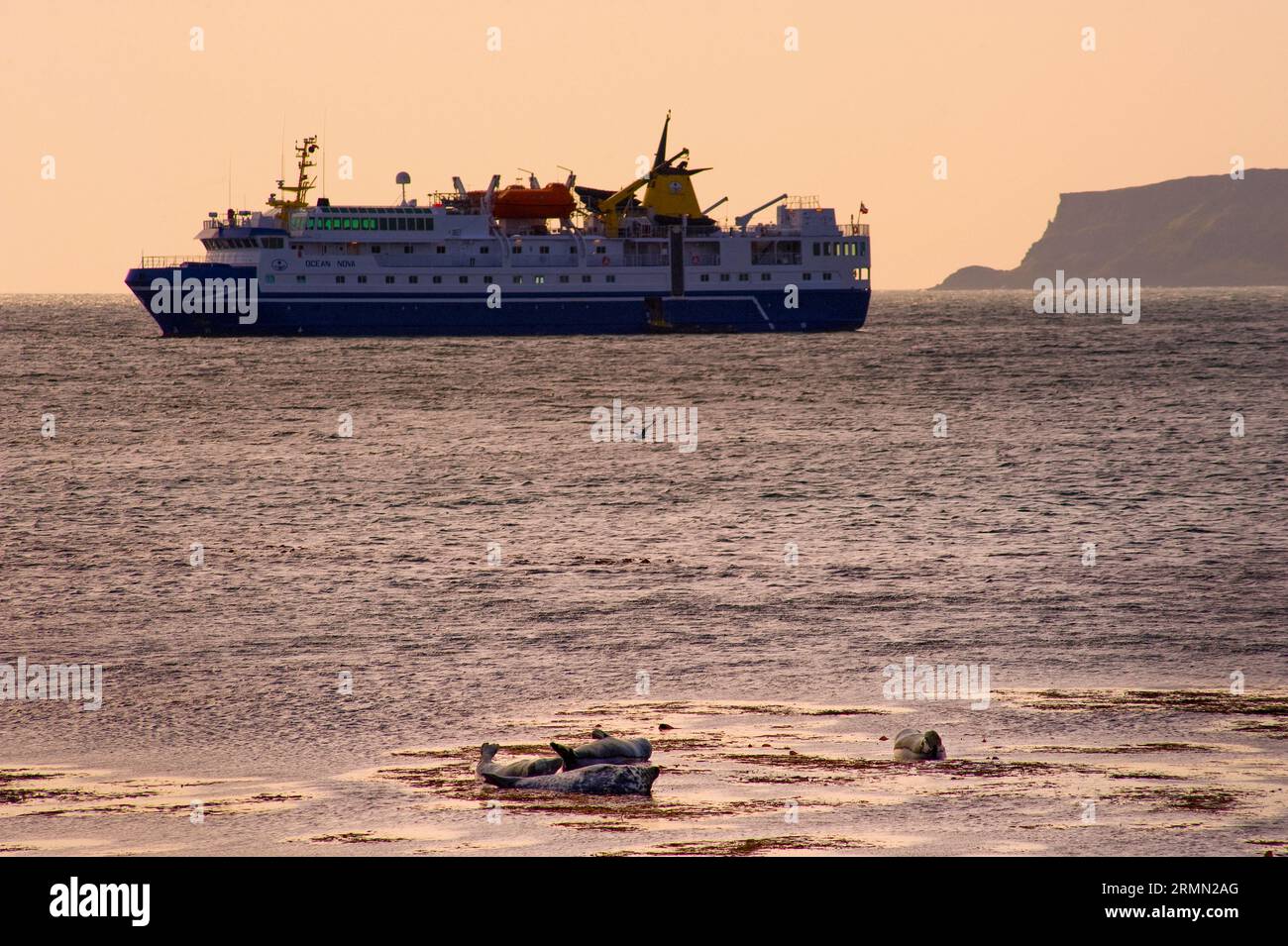 Cruise Ship 'Ocean Nova' at Rathlin Island, County Antrim, Northern ...