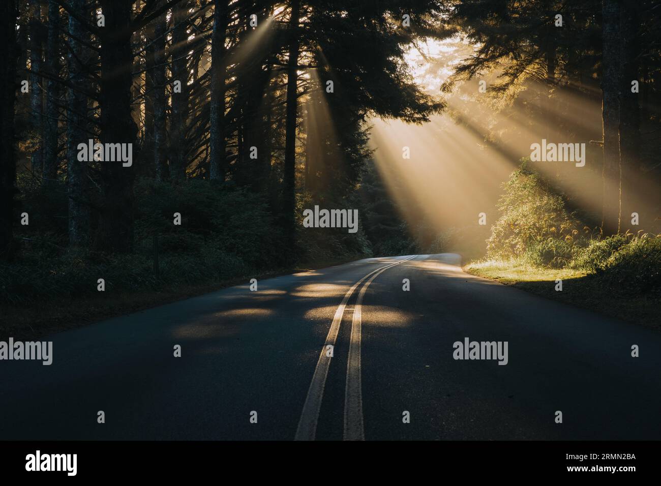 Moody Scenes of Oregon Coast line Stock Photo - Alamy