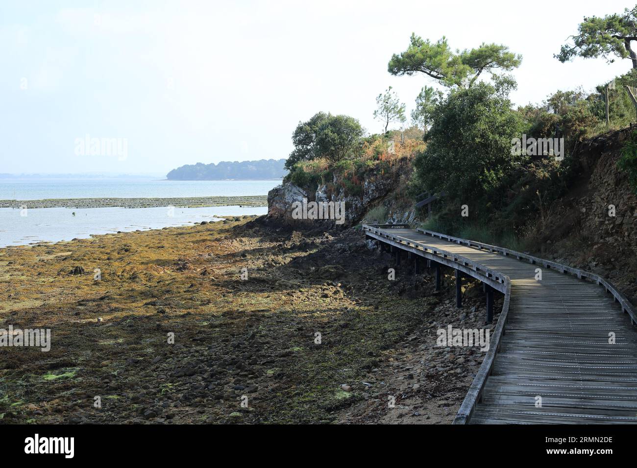 Low tide on beach and raised coastal footpath on Pointe de Brehuidic ...