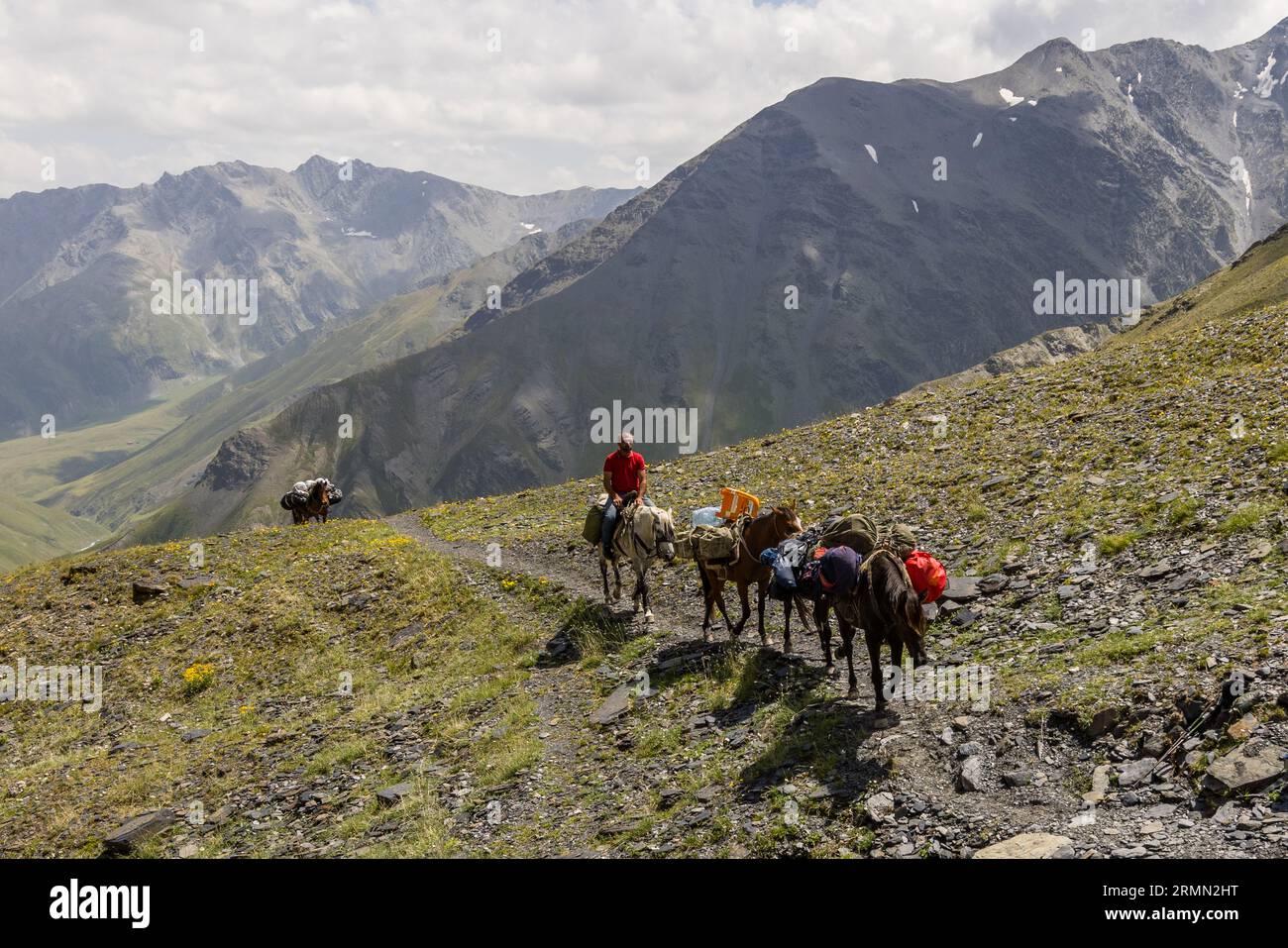 Hiking trail through Tusheti, Georgia. Pack horses take over the ...