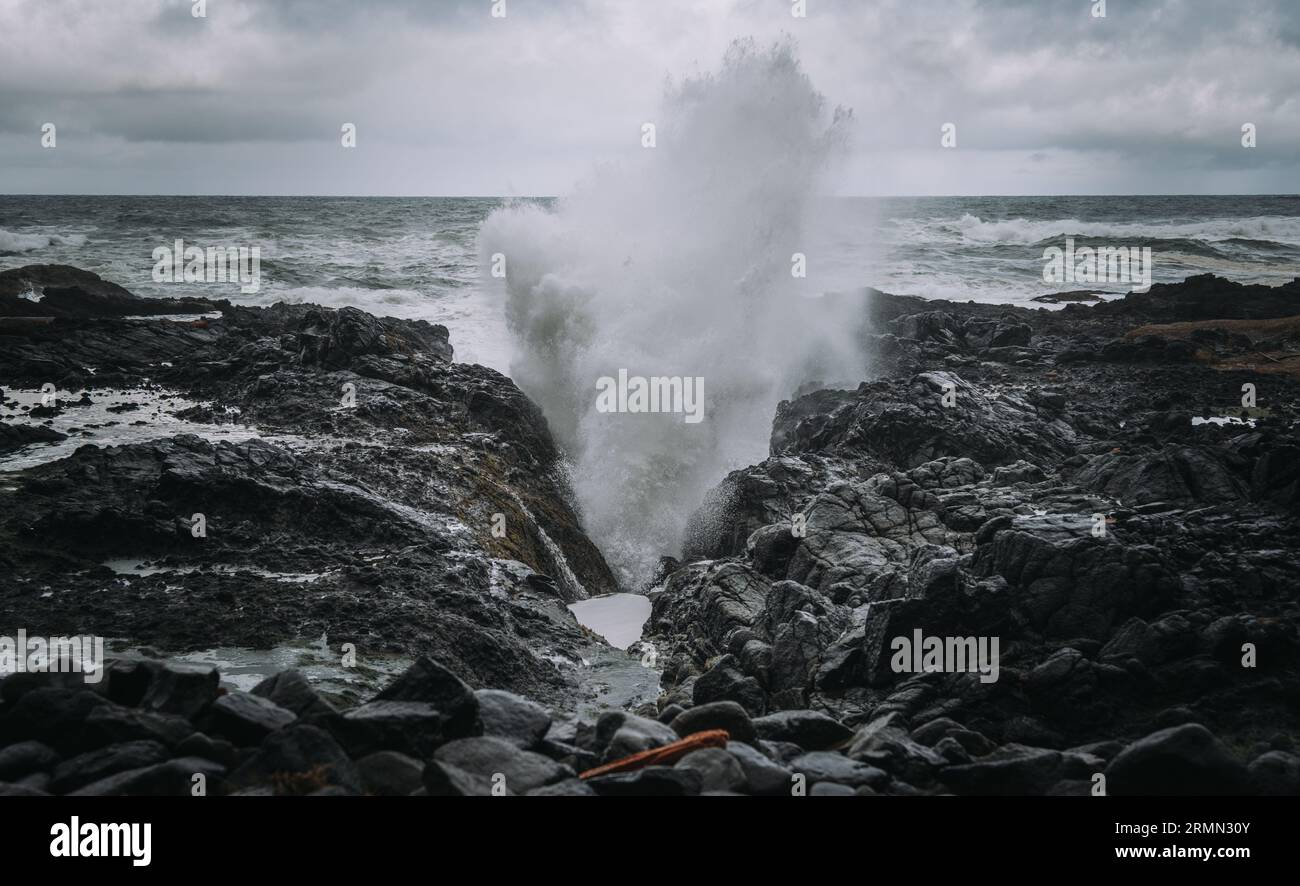 Pacific North west beach trails Stock Photo - Alamy