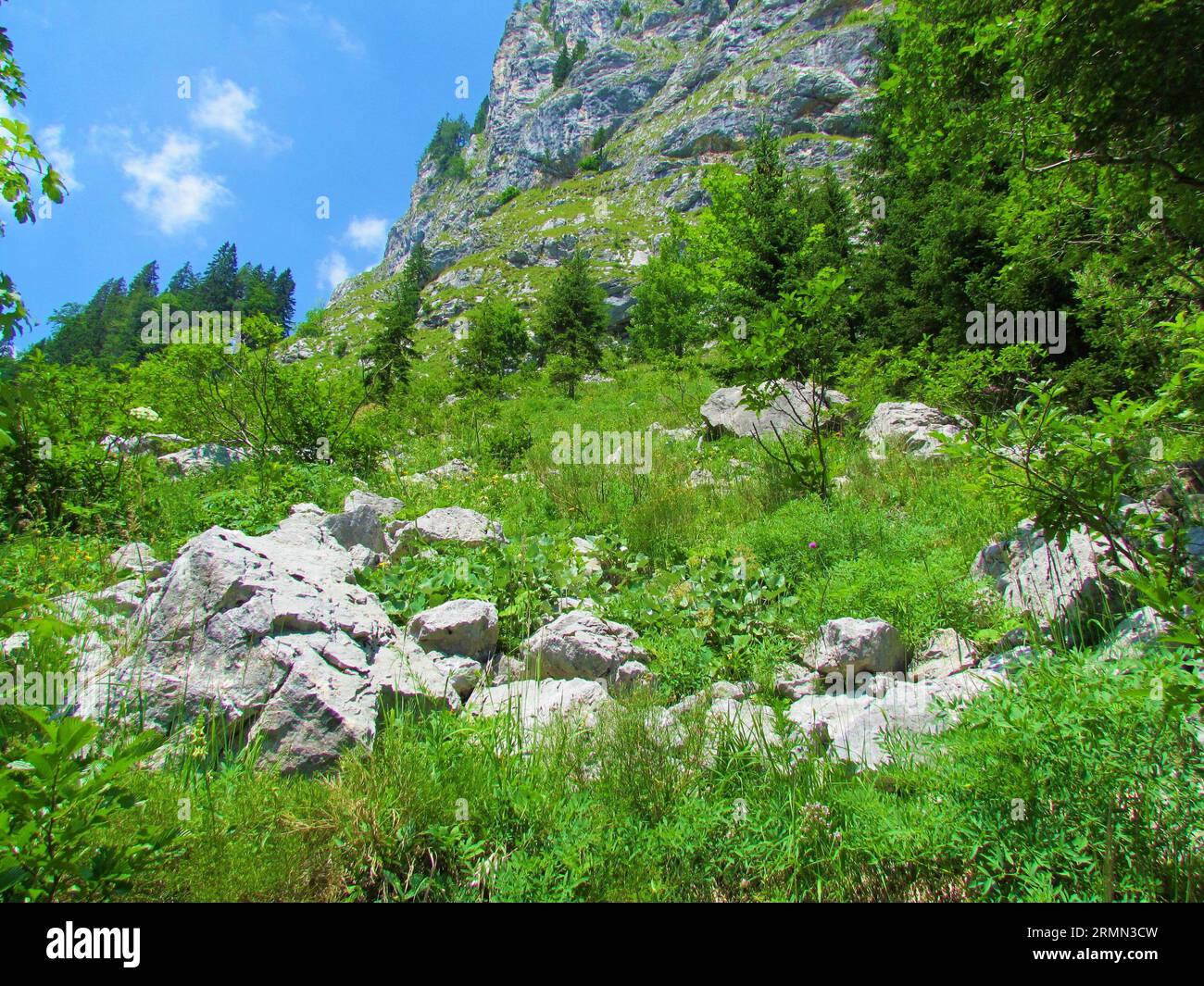 Mountain slopes above the Black lake in the Triglav lakes valley in ...