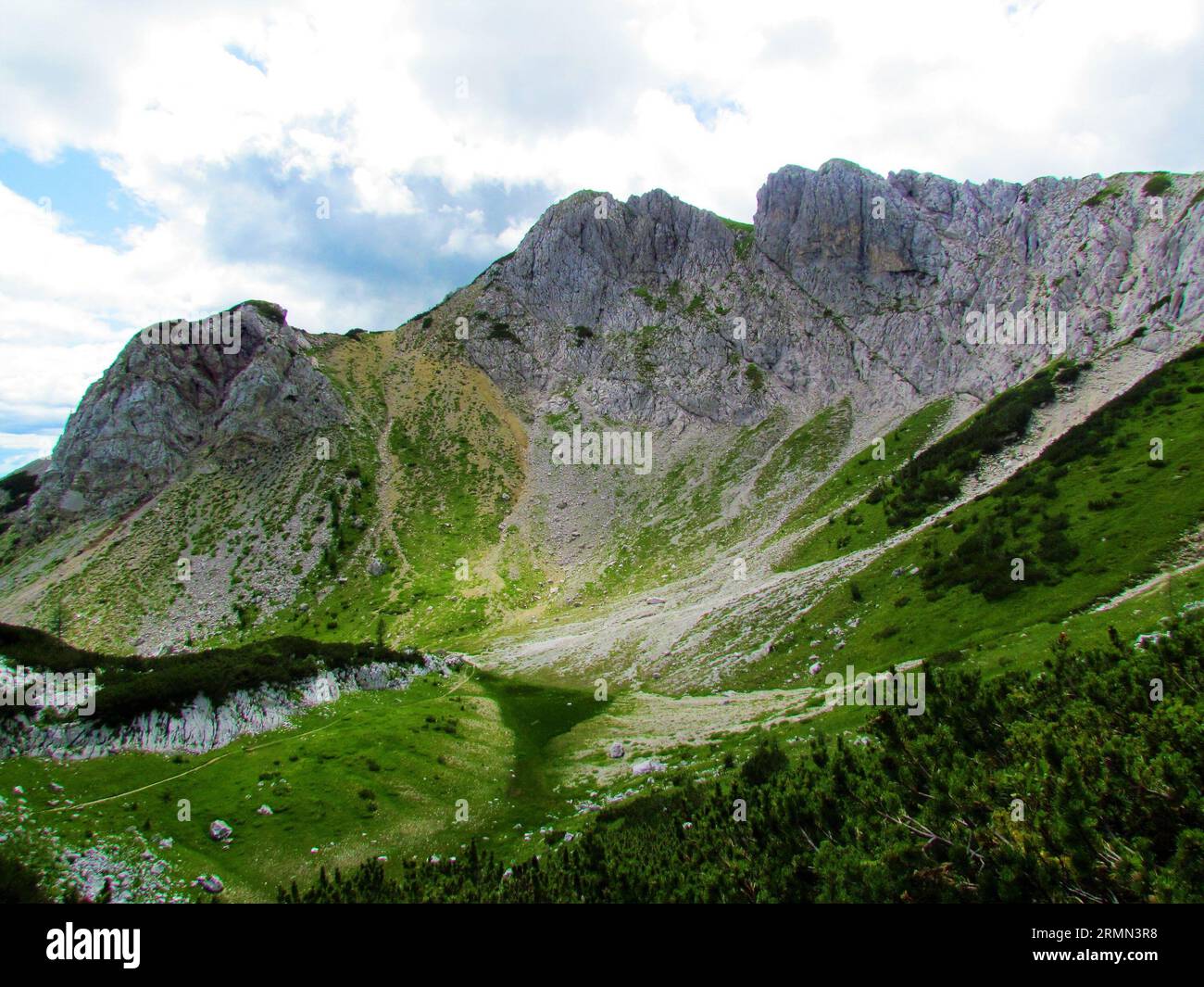 Mountain meadow above Pokljuka in Gorenjska, Slovenia in Triglav ...