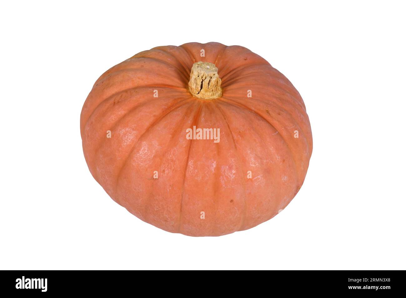 Slightly orange Cut Out Stock Images & Pictures - Alamy