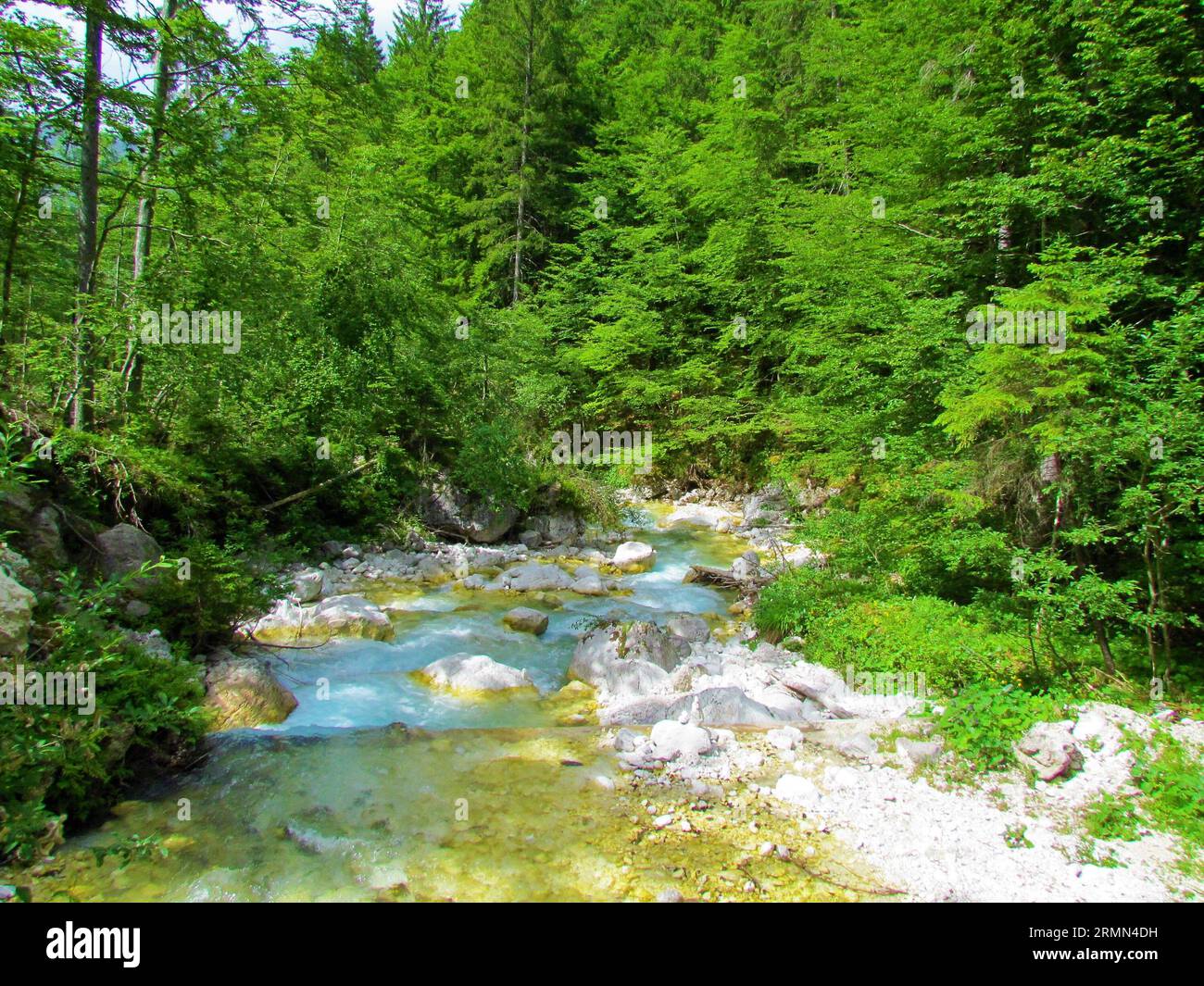 Colorful Martuljek creek above Gozd Martuljek in Triglav national park ...