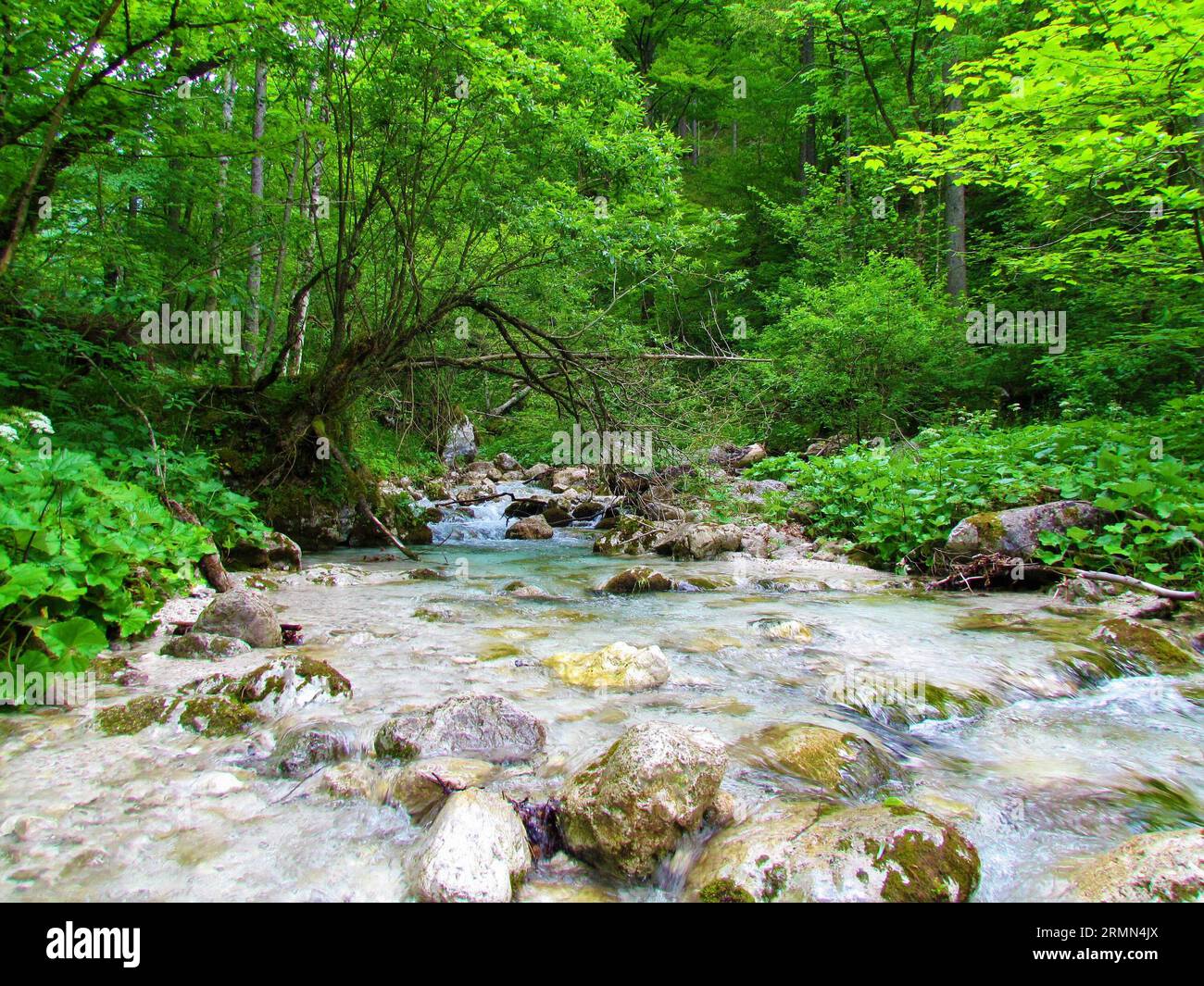 Kamniska bela hi-res stock photography and images - Alamy