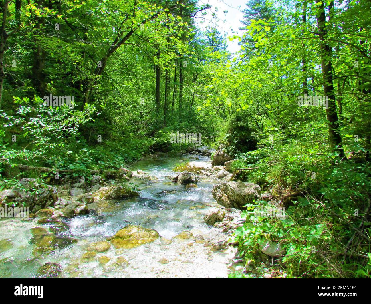 Kamniska bela hi-res stock photography and images - Alamy