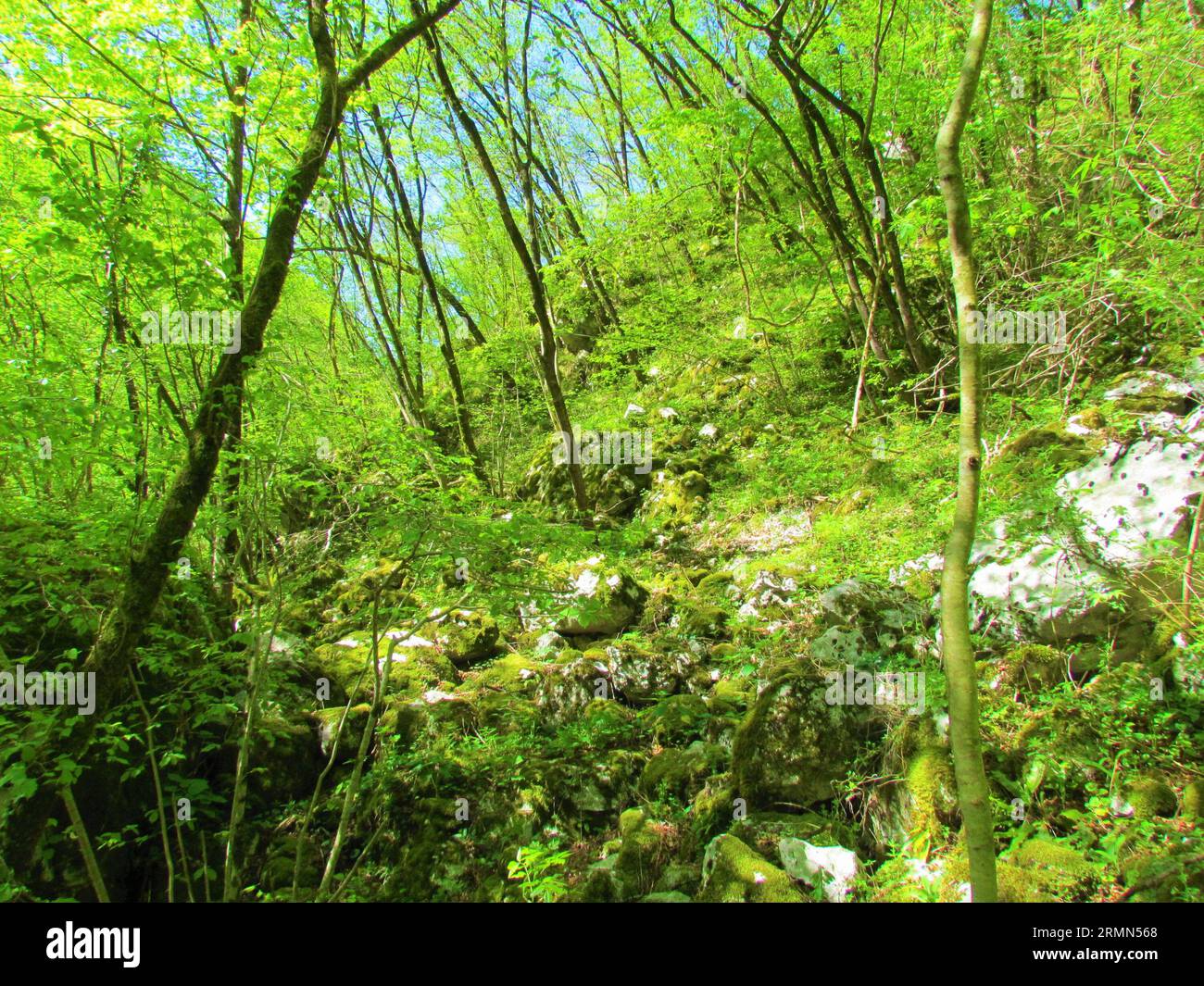 Beri waterfall hi-res stock photography and images - Alamy