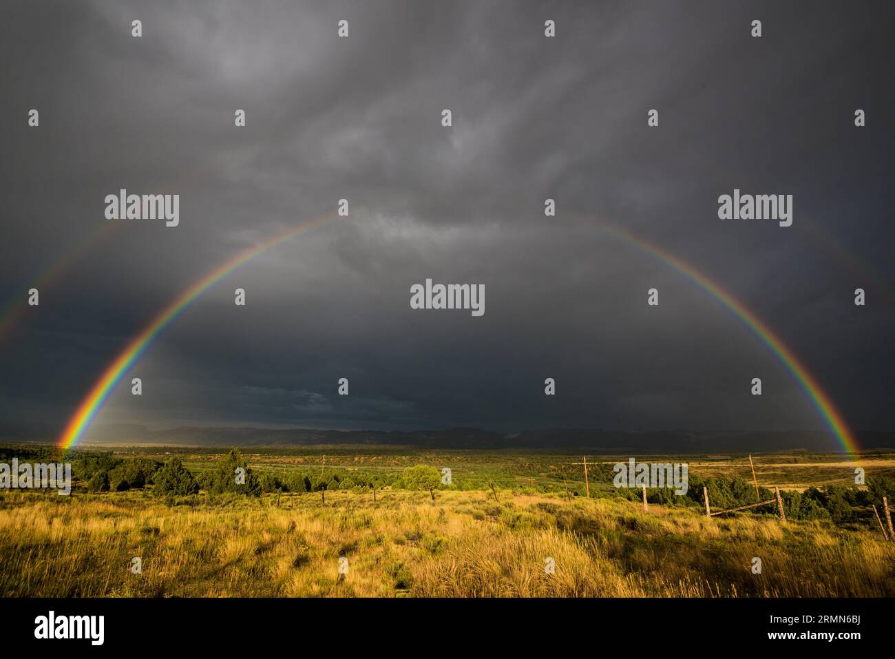 12 colors hi-res stock photography and images - Alamy
