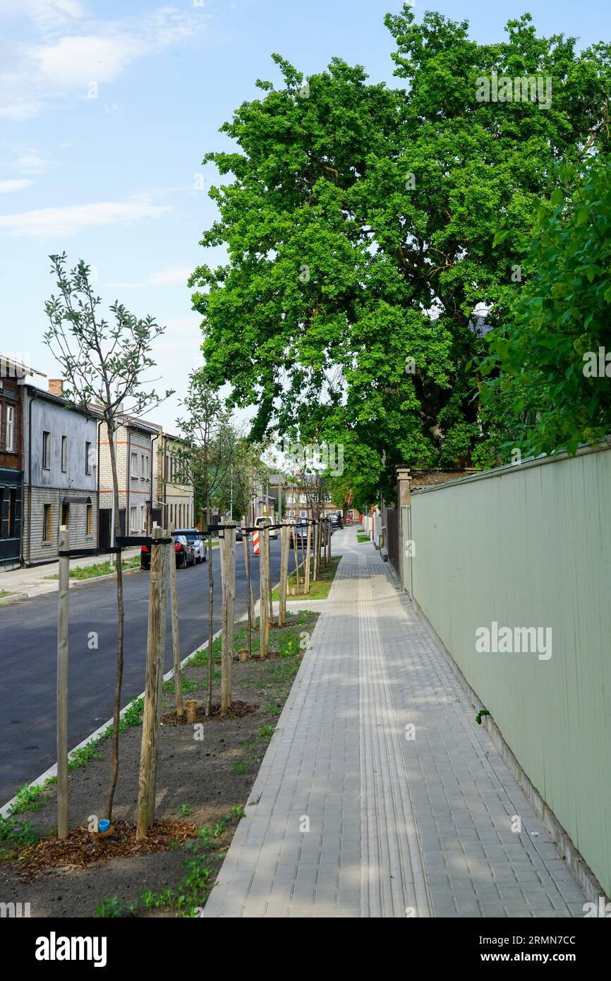 reconstructed street view with new asphalt, sidewalk paving with ...