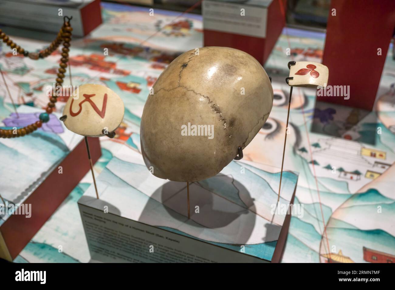 A vessel made from the top of a human skull. Removed from a Tibetan ...