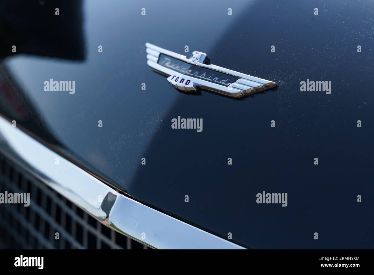 Waltershausen, Germany - June 10, 2023: Ford Thunderbird logo on the ...