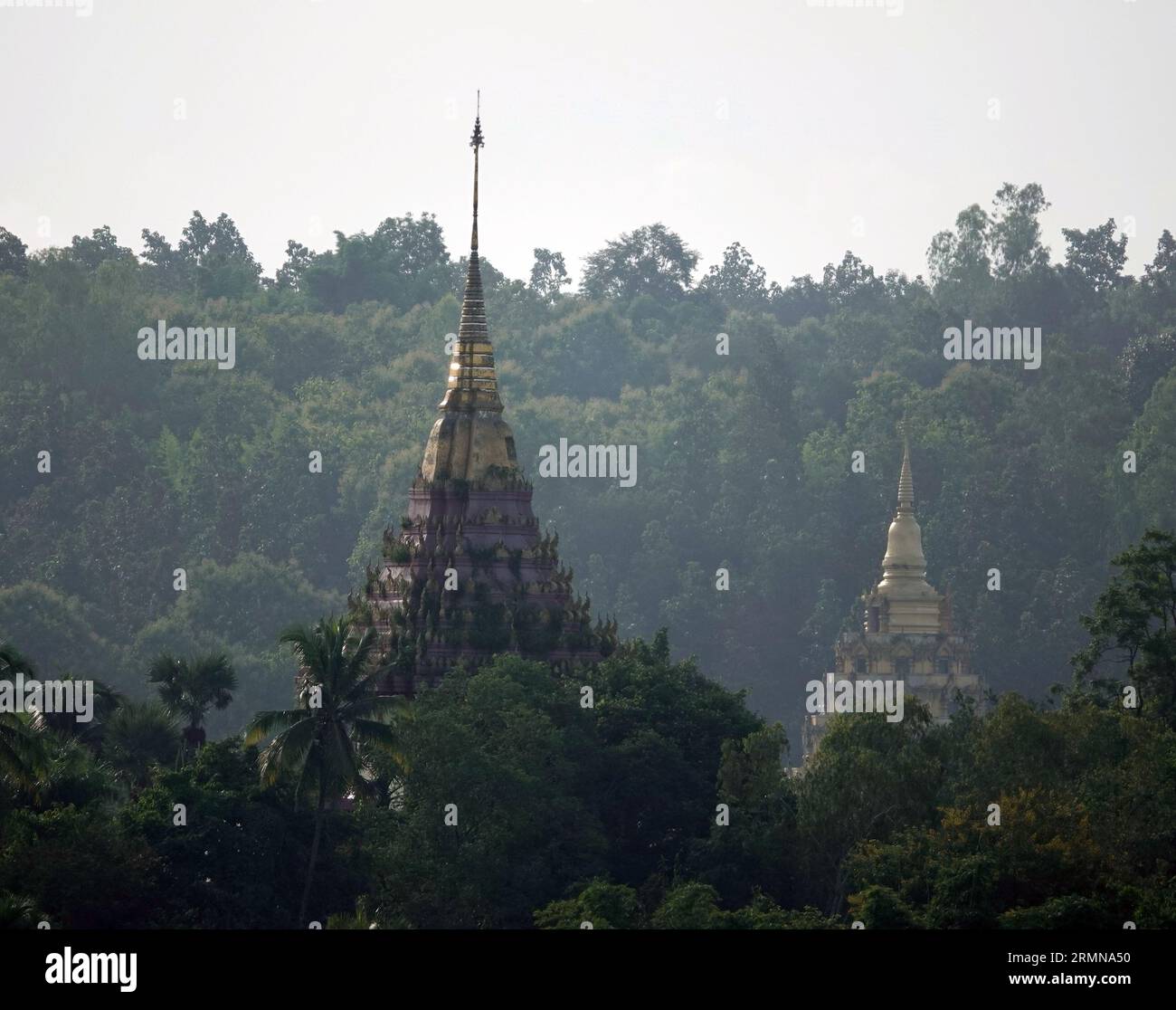 A scenic view of two ancient temples surrounded by a lush forest and ...