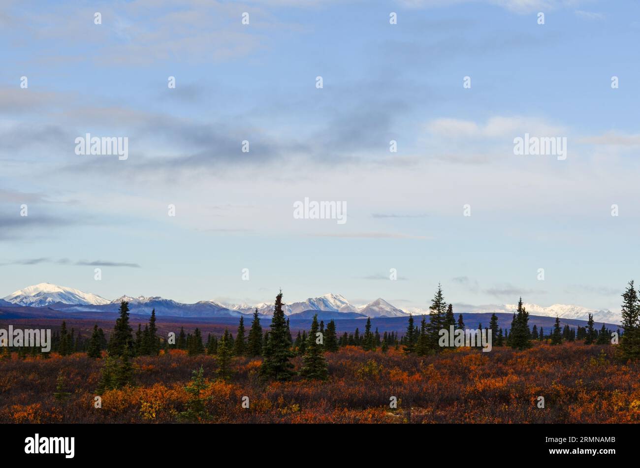Aerial view of an Alaskan wilderness landscape, featuring snow-dusted ...