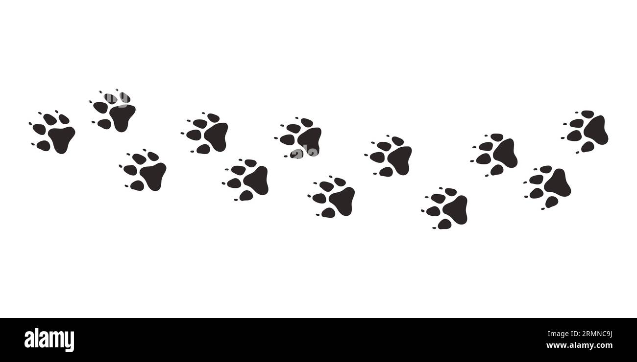 Dog paws. Animal paw prints, vector different animals footprints black ...