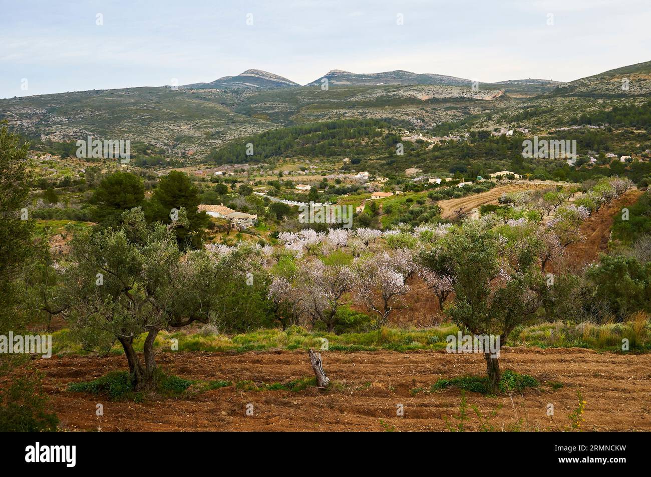 Alicante agriculture hi-res stock photography and images - Alamy