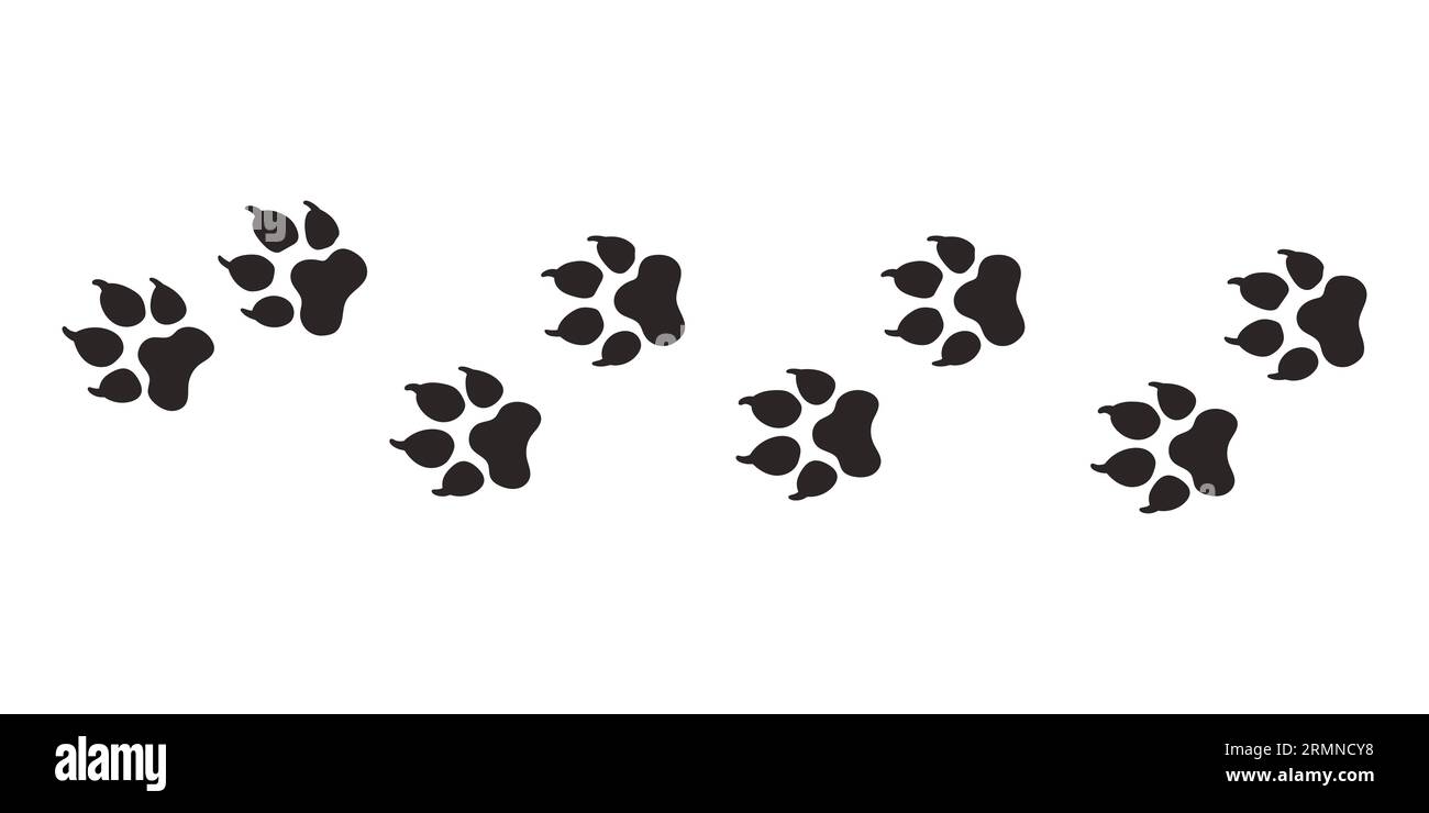 Leopard paws. Animal paw prints, vector different animals footprints ...