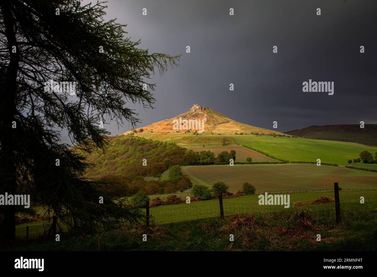 nature at roseberry topping Stock Photo - Alamy