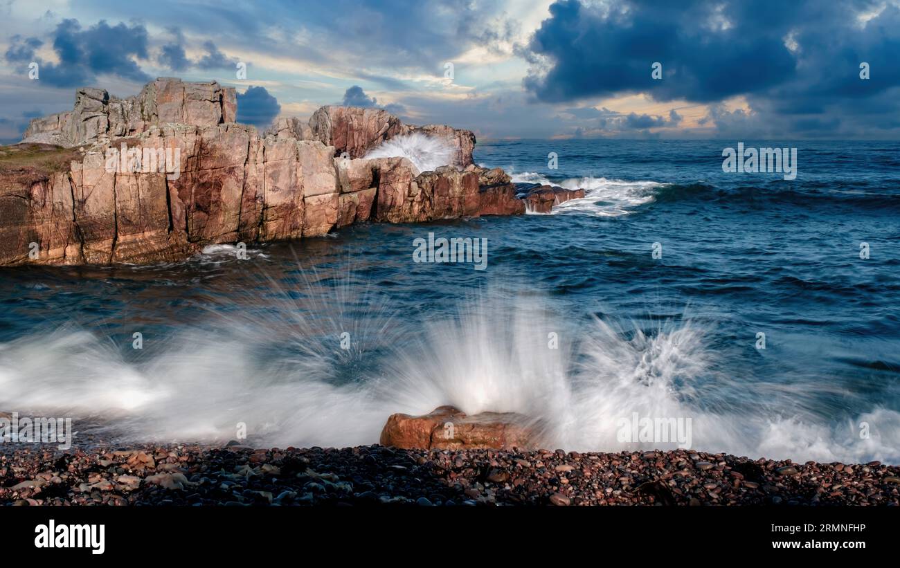 Daisy Rock, Hopeman Stock Photo - Alamy