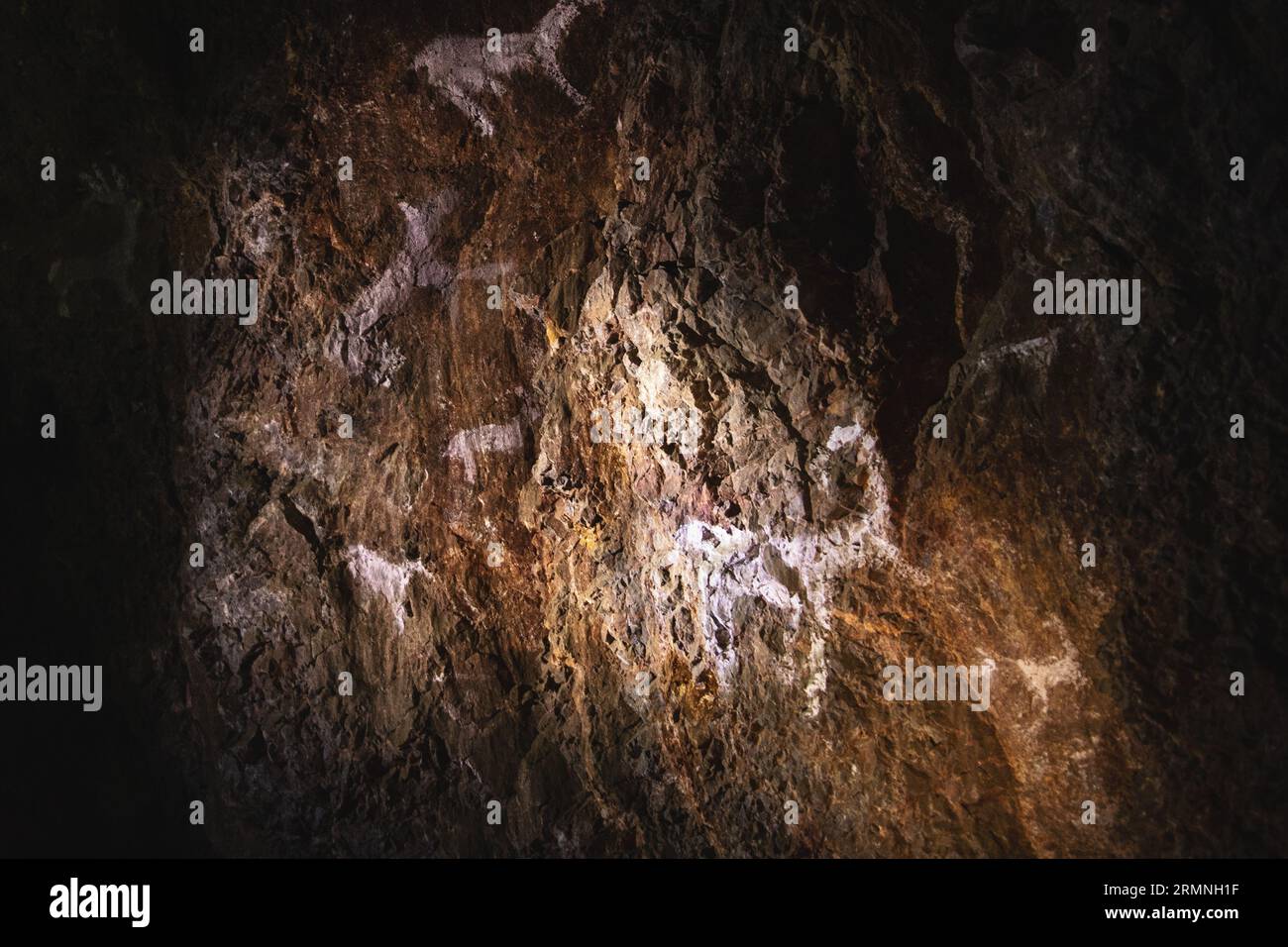 Figure animals on the stone wall of the cave, real drawings ancient ...