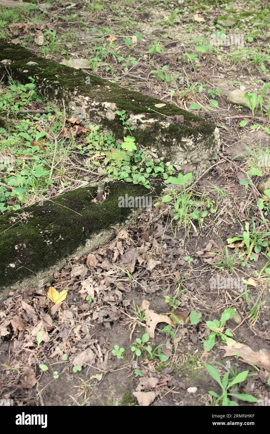 Old abandoned concrete slab foundation of a long gone building and home ...