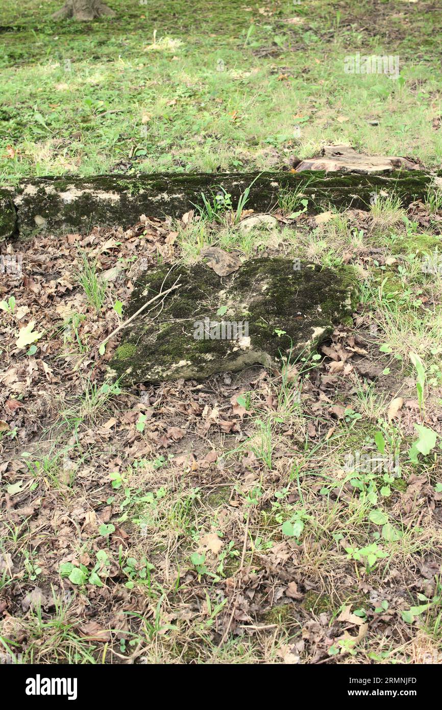 Old abandoned concrete slab foundation of a long gone building and home ...