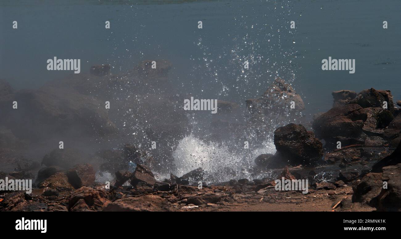 Geyser, Hot Springs at Bogoria Lake in Kenya Stock Photo - Alamy