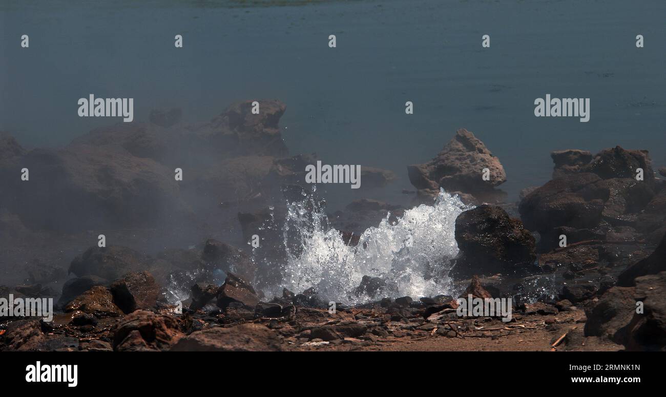 Geyser, Hot Springs at Bogoria Lake in Kenya Stock Photo - Alamy