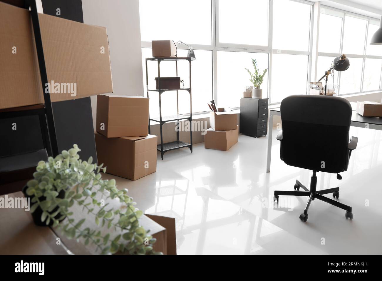 Interior of modern office with cardboard boxes on moving day Stock ...