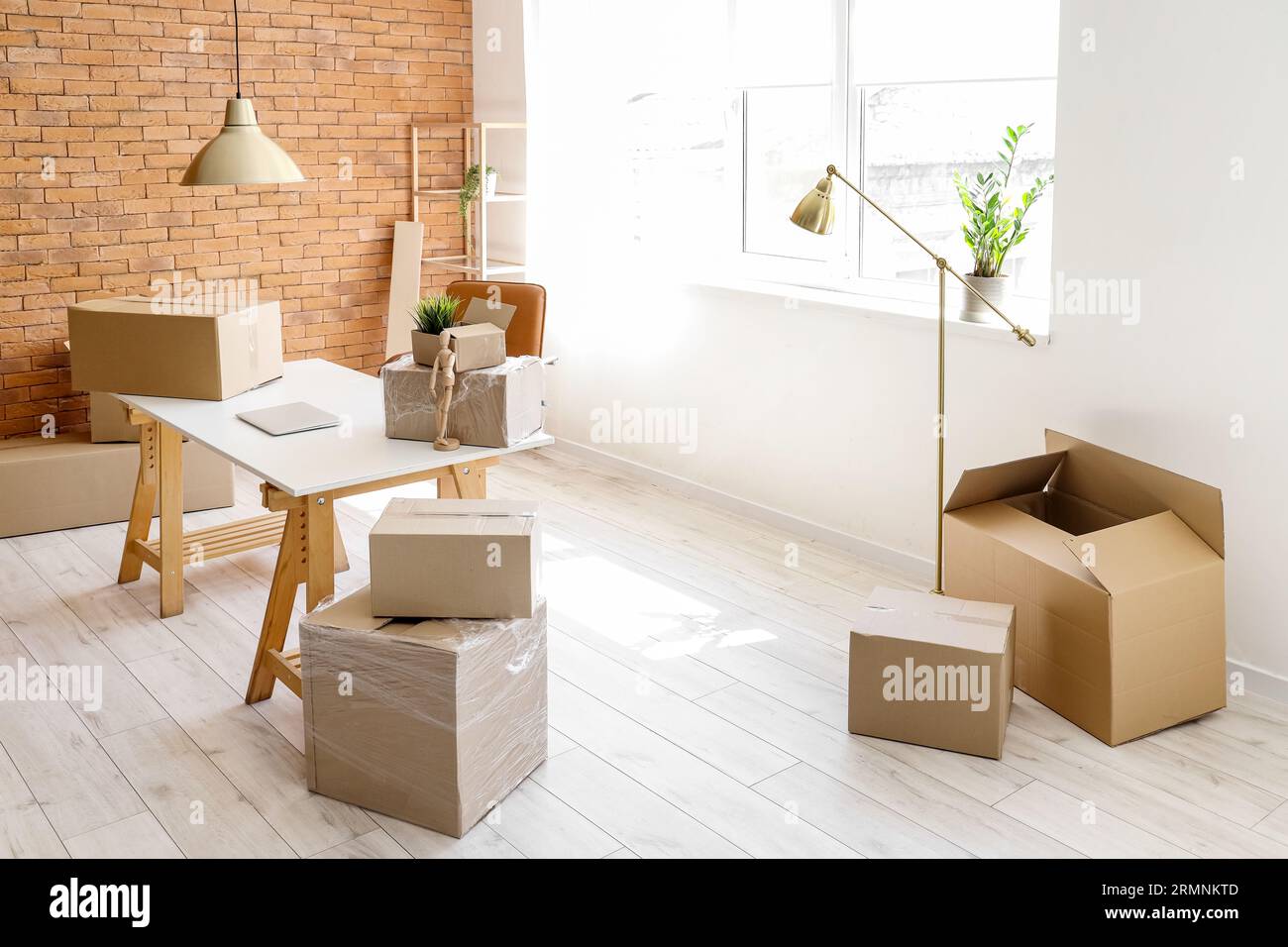 Interior of stylish office with cardboard boxes on moving day Stock ...