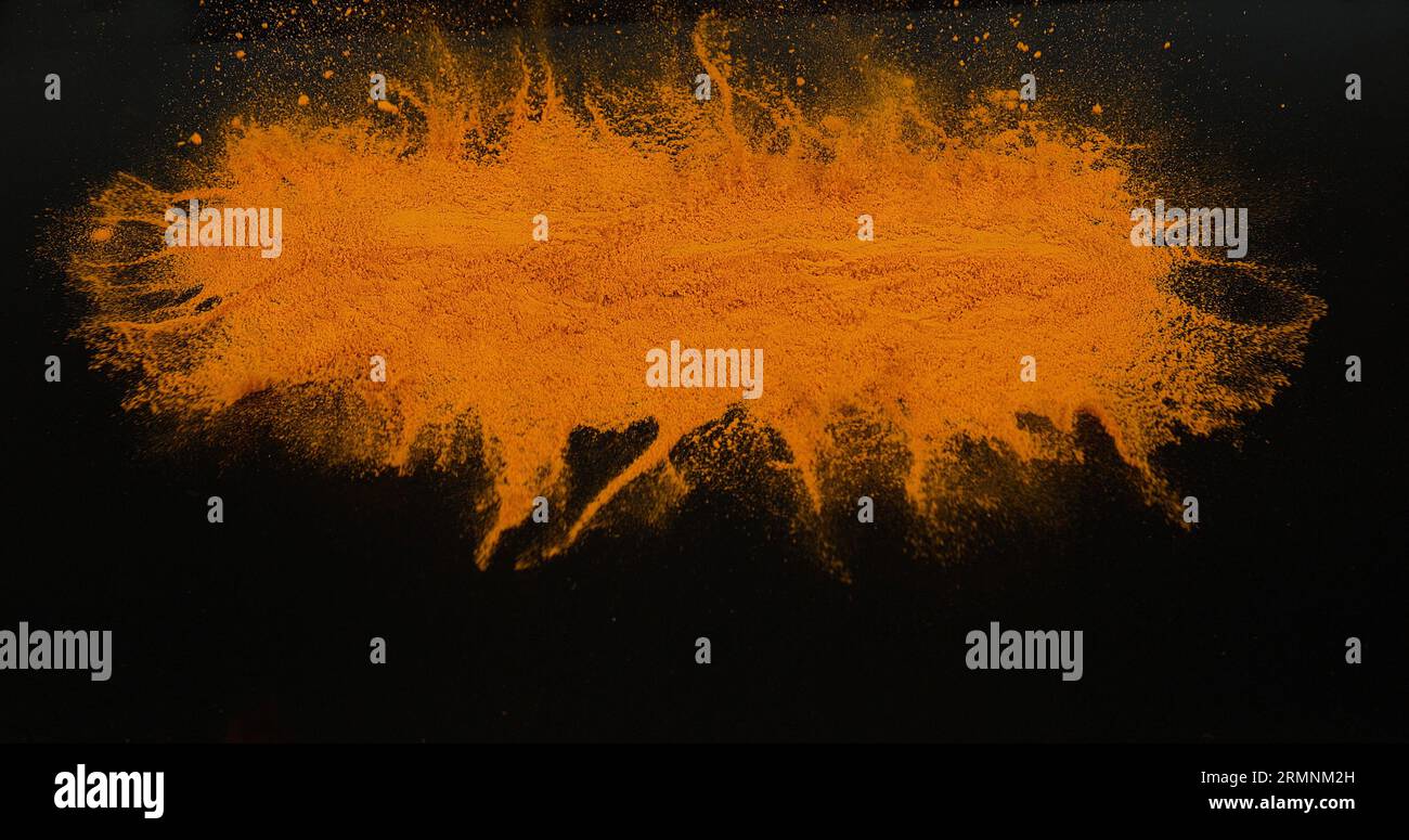 Turmeric, curcuma longa, Powder falling against Black Background ...
